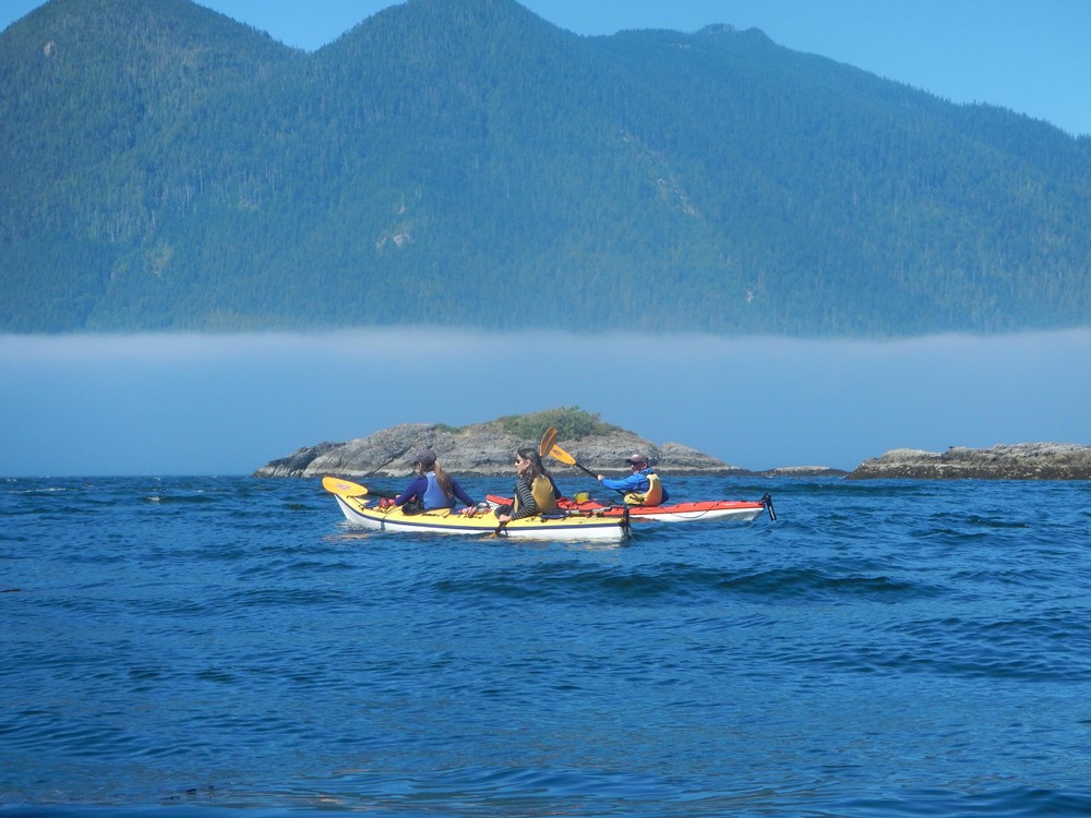 Tofino Clayoquot Sound: Lemmens Inlet Kayaking Tour | Jamie's Whaling ...