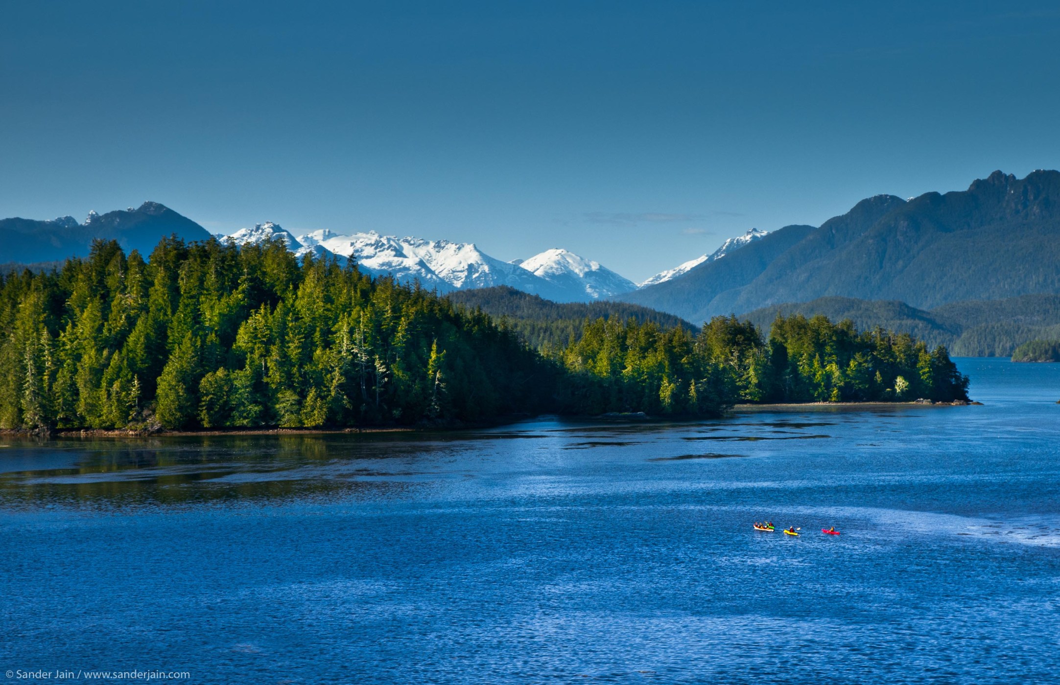 Tofino Clayoquot Sound: Lemmens Inlet Kayaking Tour | Jamie's Whaling ...